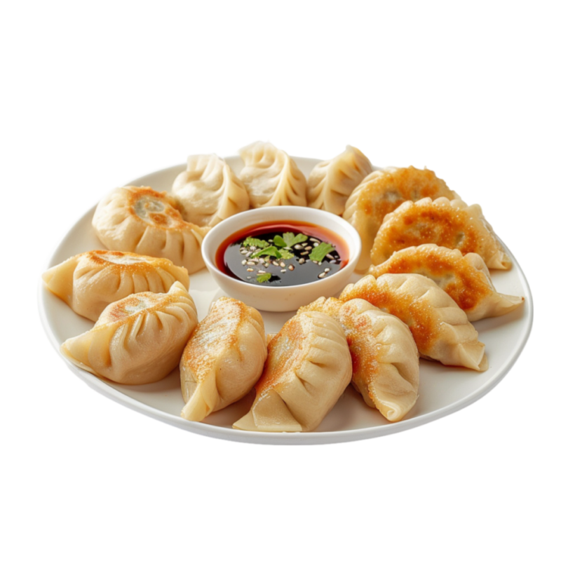 CHICKEN MOMO – hotmomo